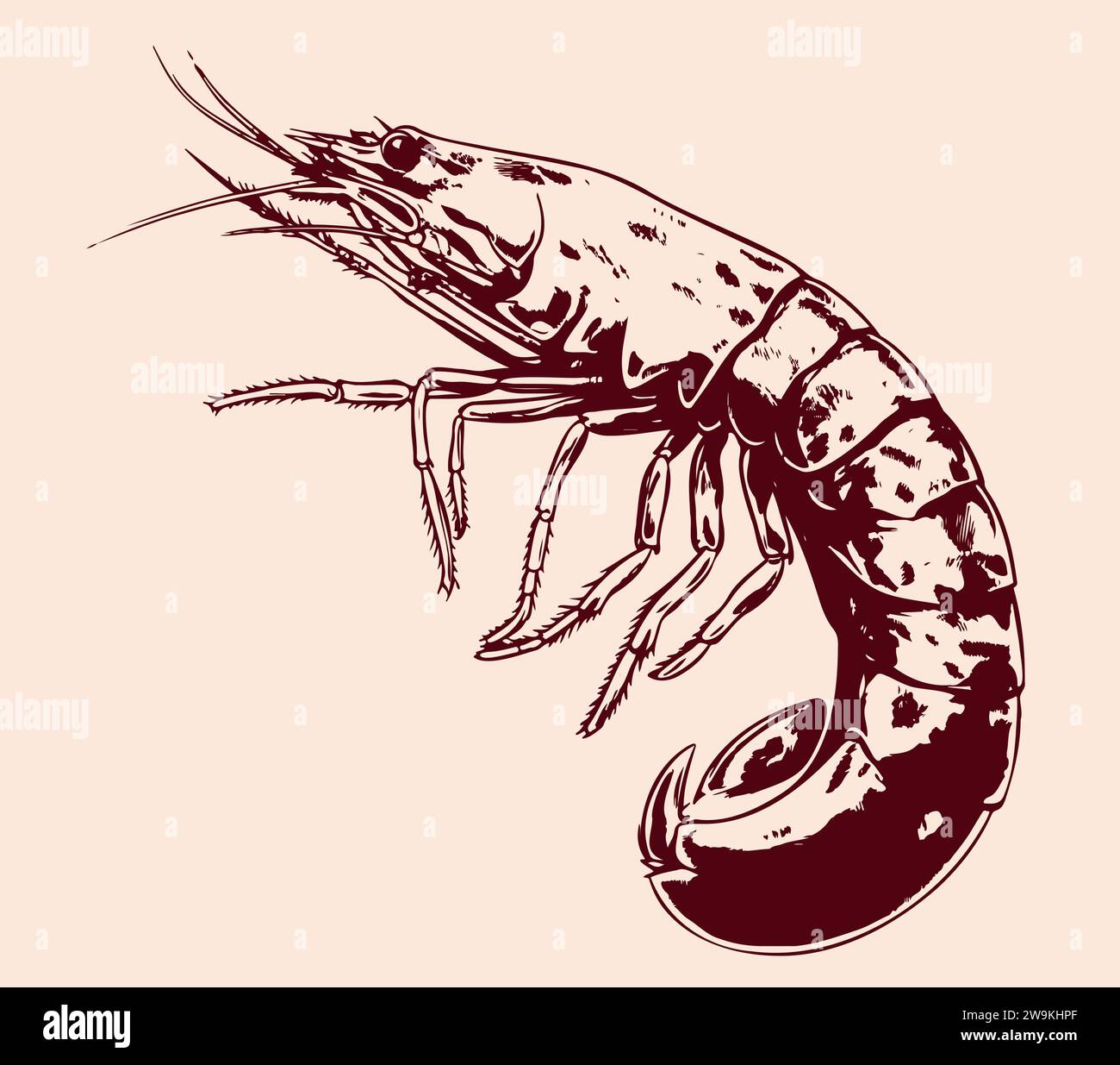 Seafood packaging logo Stock Vector Images - Alamy