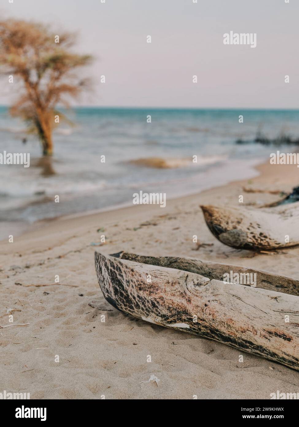 Wooden dugout canoe sitting by Lake Malawi in Karonga, Malawi at sunset ...