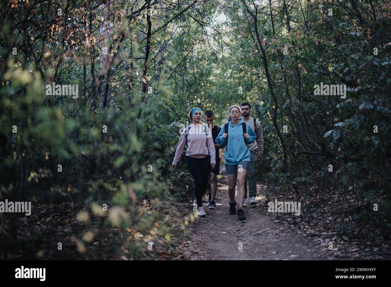 Happy hikers enjoy an autumn day off in the forest, exercising ...