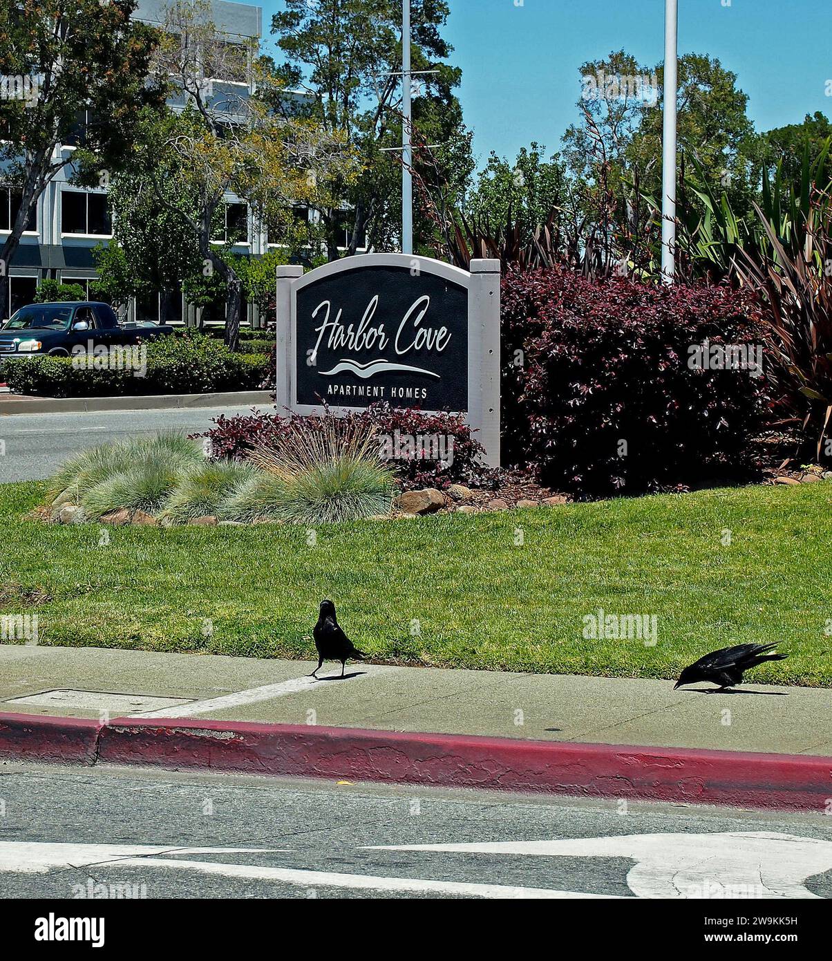 Harbor Cove apartment homes sign in Foster City, California along the ...