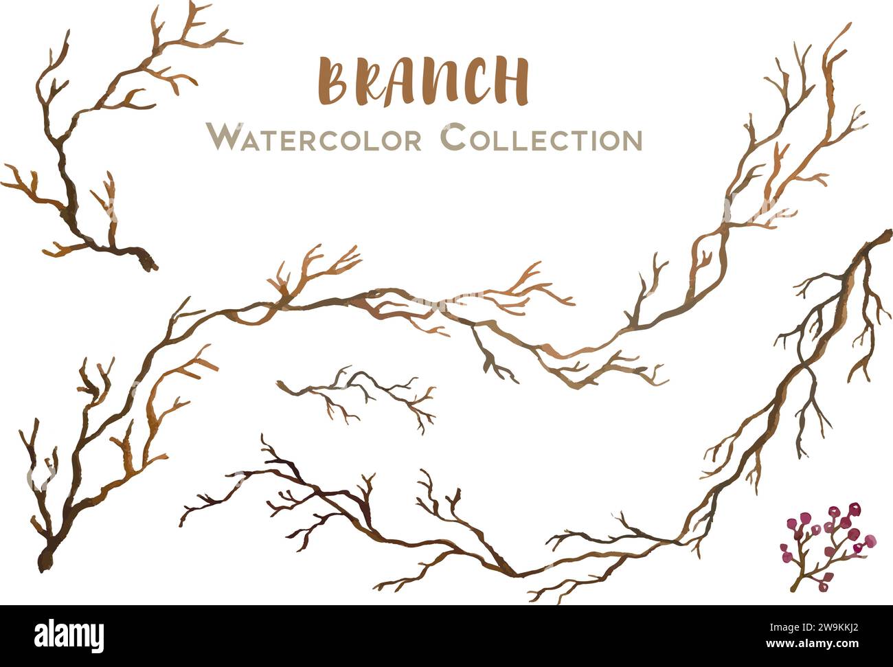 Vector set of beautiful hand drawn watercolor collection of branches ...