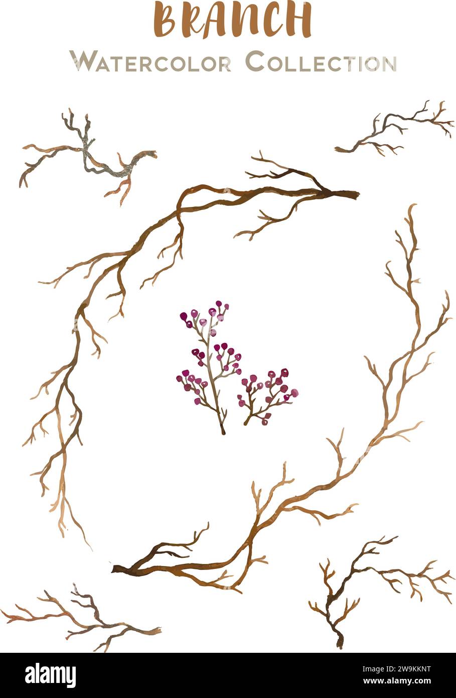 Vector set of beautiful hand drawn watercolor collection of branches ...