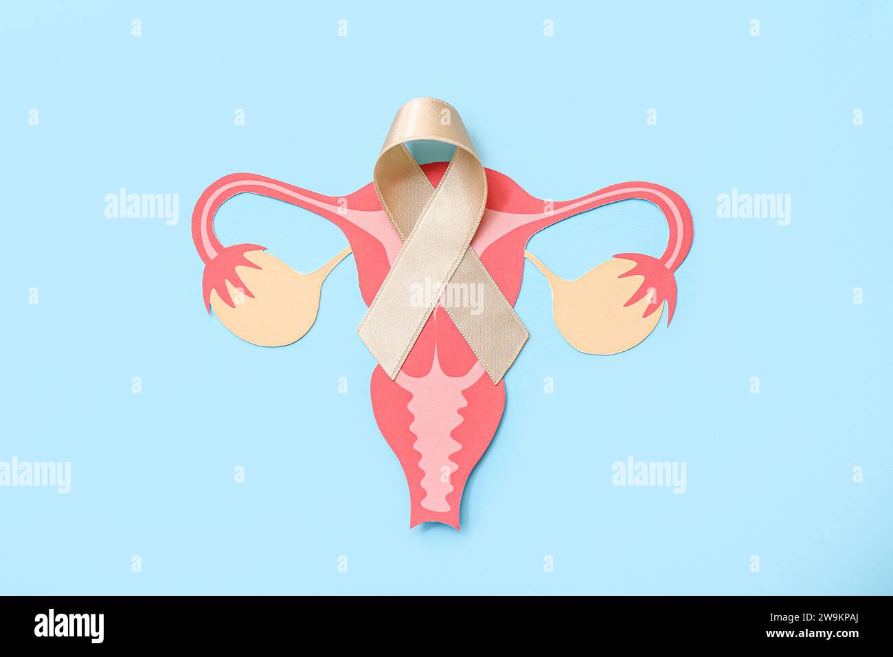 Beige ribbon with paper uterus on blue background. Cancer awareness ...