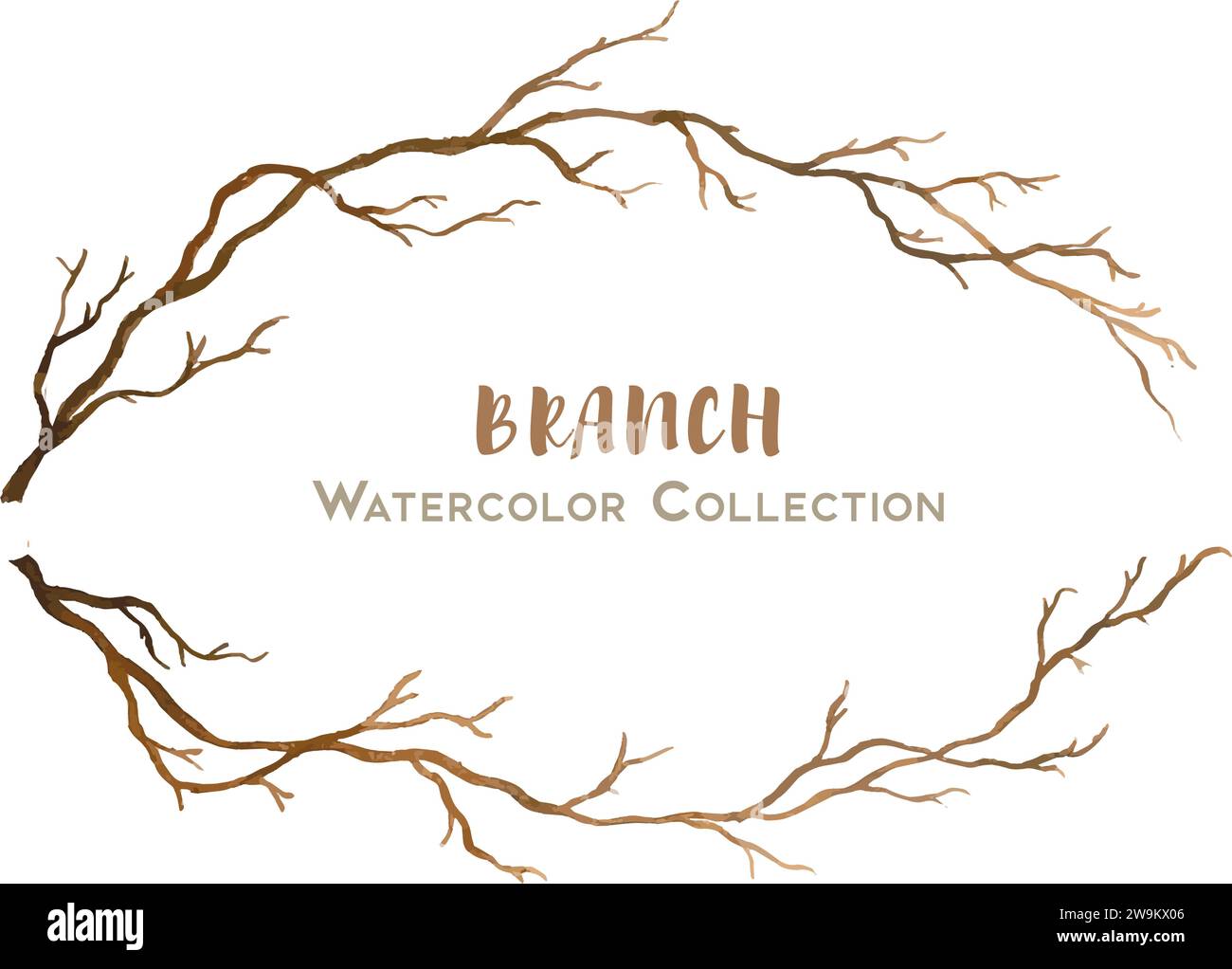 Vector set of beautiful hand drawn watercolor collection of branches ...