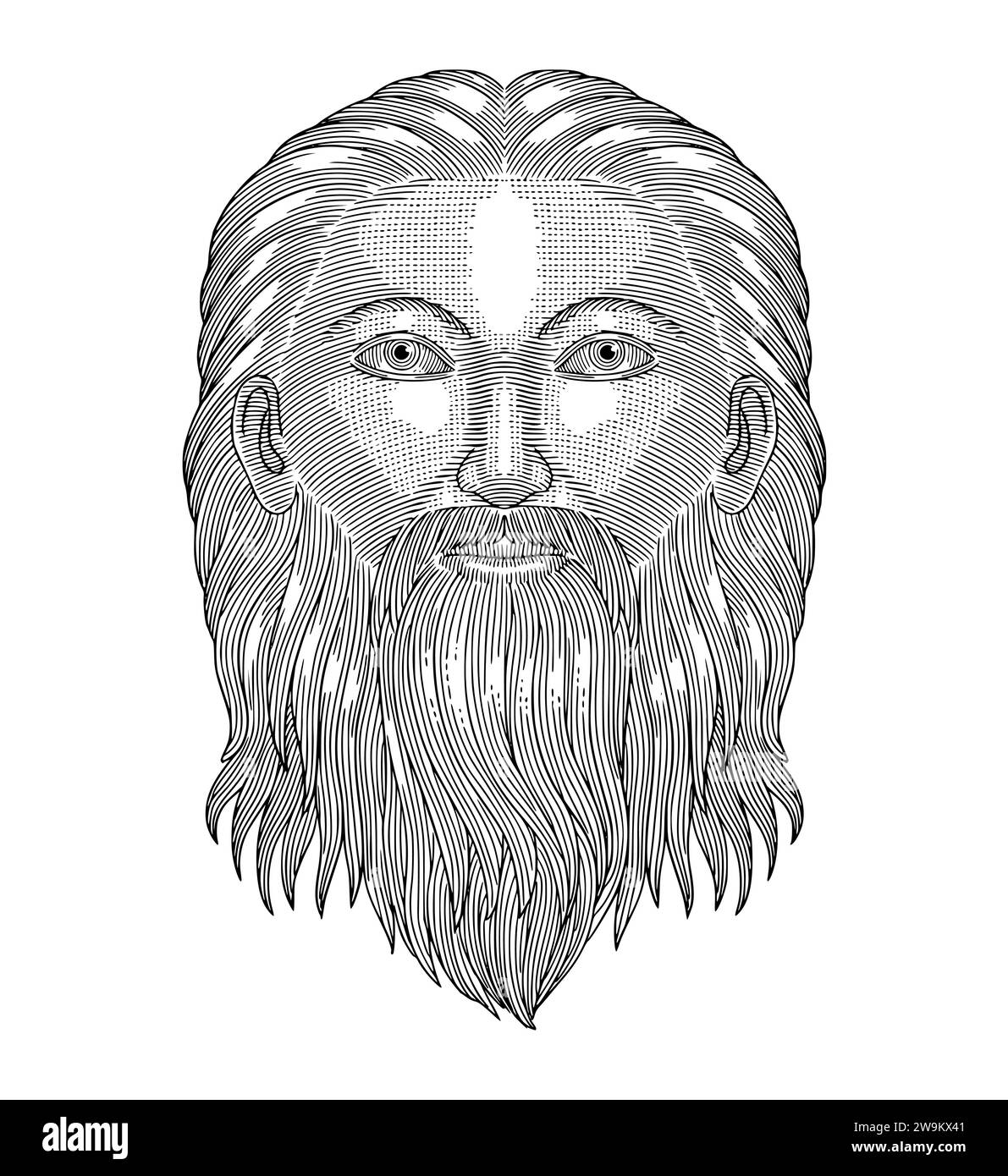 Man with beard engraving Cut Out Stock Images & Pictures - Alamy