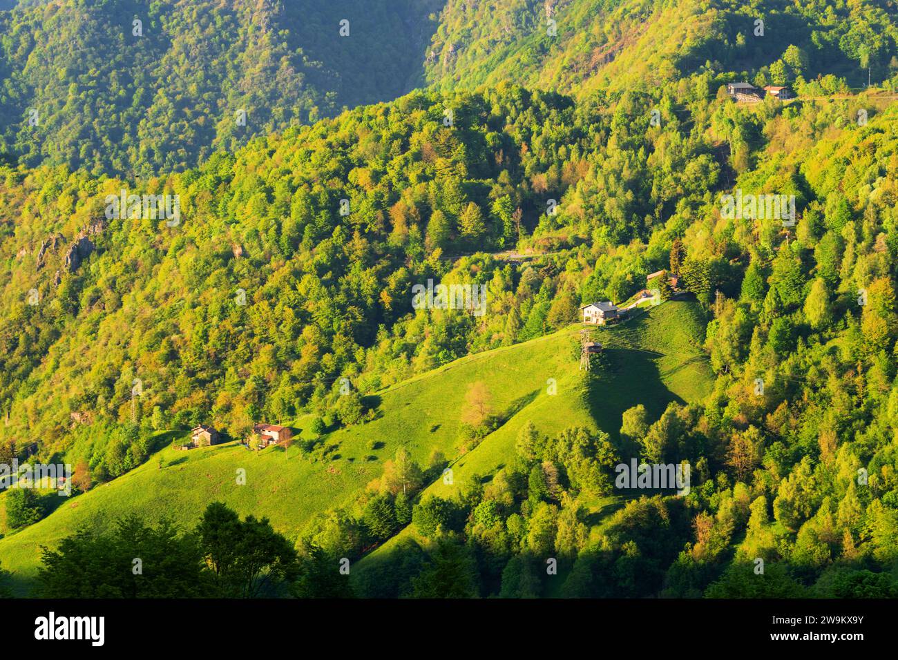 Beautiful landscape of the layered misty hazy Italian Alps mountain ...