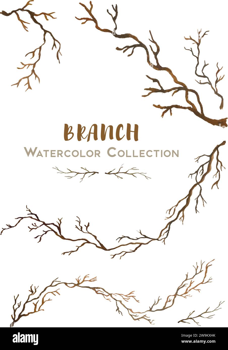 Vector set of beautiful hand drawn watercolor collection of branches ...