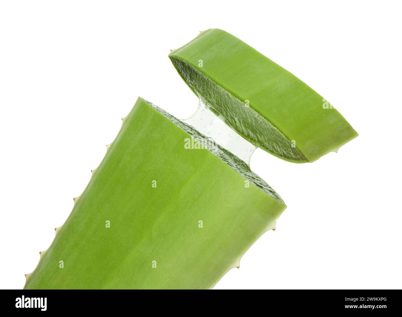 Cut aloe vera leaf isolated on white Stock Photo - Alamy