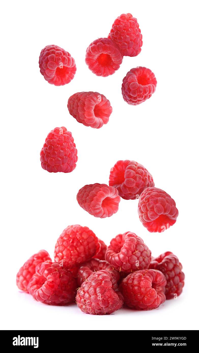 Fresh ripe raspberries falling onto pile against white background Stock ...
