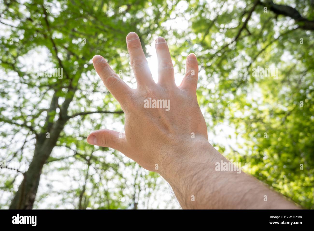 Hand covering the sun with its fingers while a ray of light passes ...