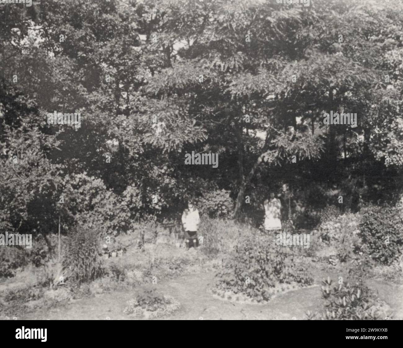 Zola, Francois Emile - Jacques und Denise im Park Stock Photo - Alamy