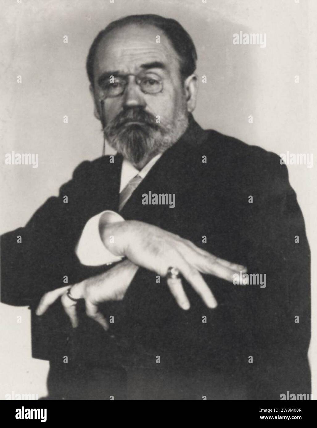 Zola, Francois Emile - Zola (3 Stock Photo - Alamy