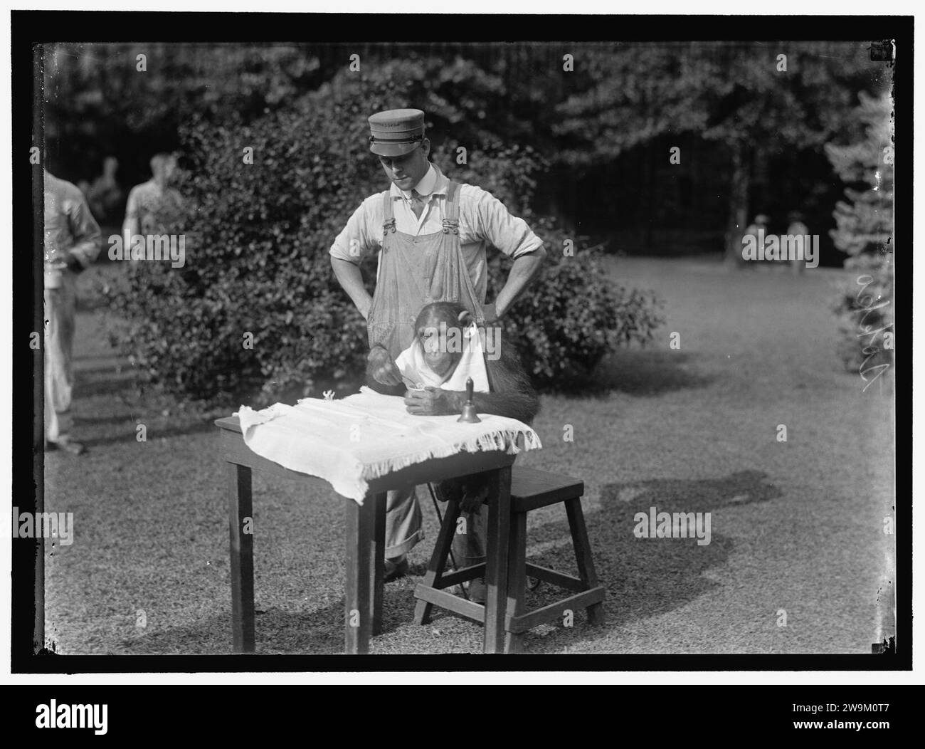 Sokko hi-res stock photography and images - Alamy