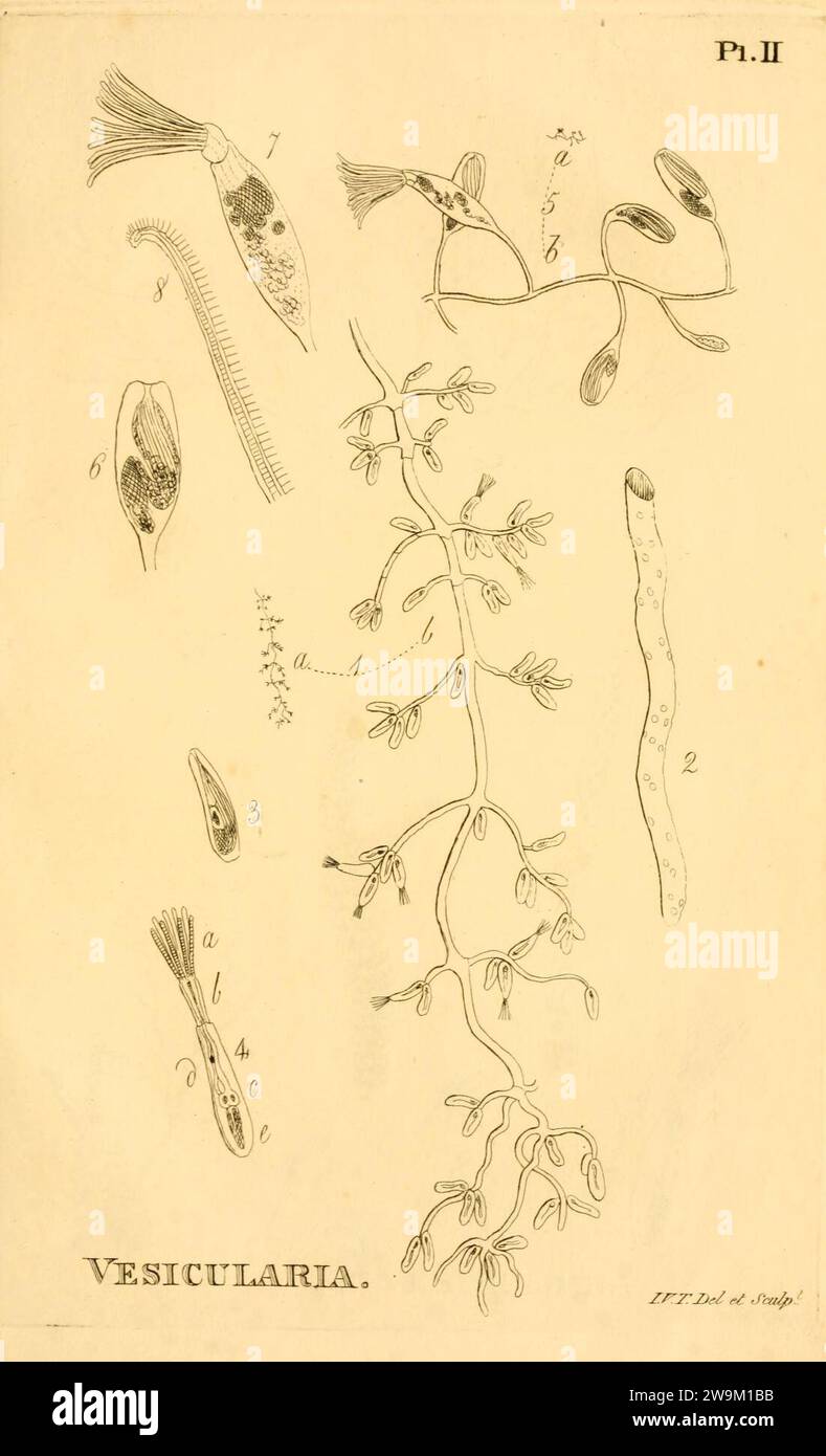 Nondescript hi-res stock photography and images - Alamy