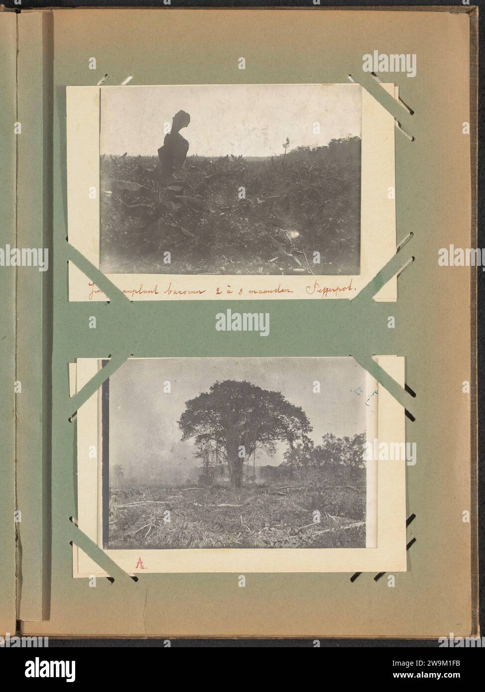 Burning down land, anonymous, c. 1912 - c. 1913 photograph Burning land ...