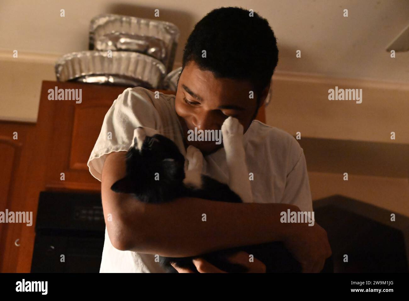 Tuxedo cat Leo puts his paws on Jack's face. Tuxedo cat named Leo at a ...