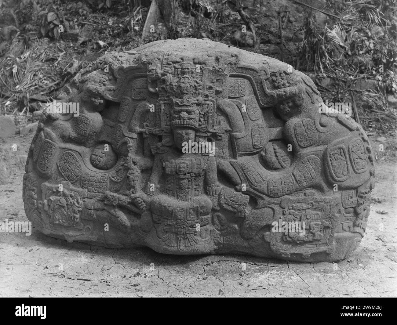 Zoomorph P at Quirigua Stock Photo - Alamy