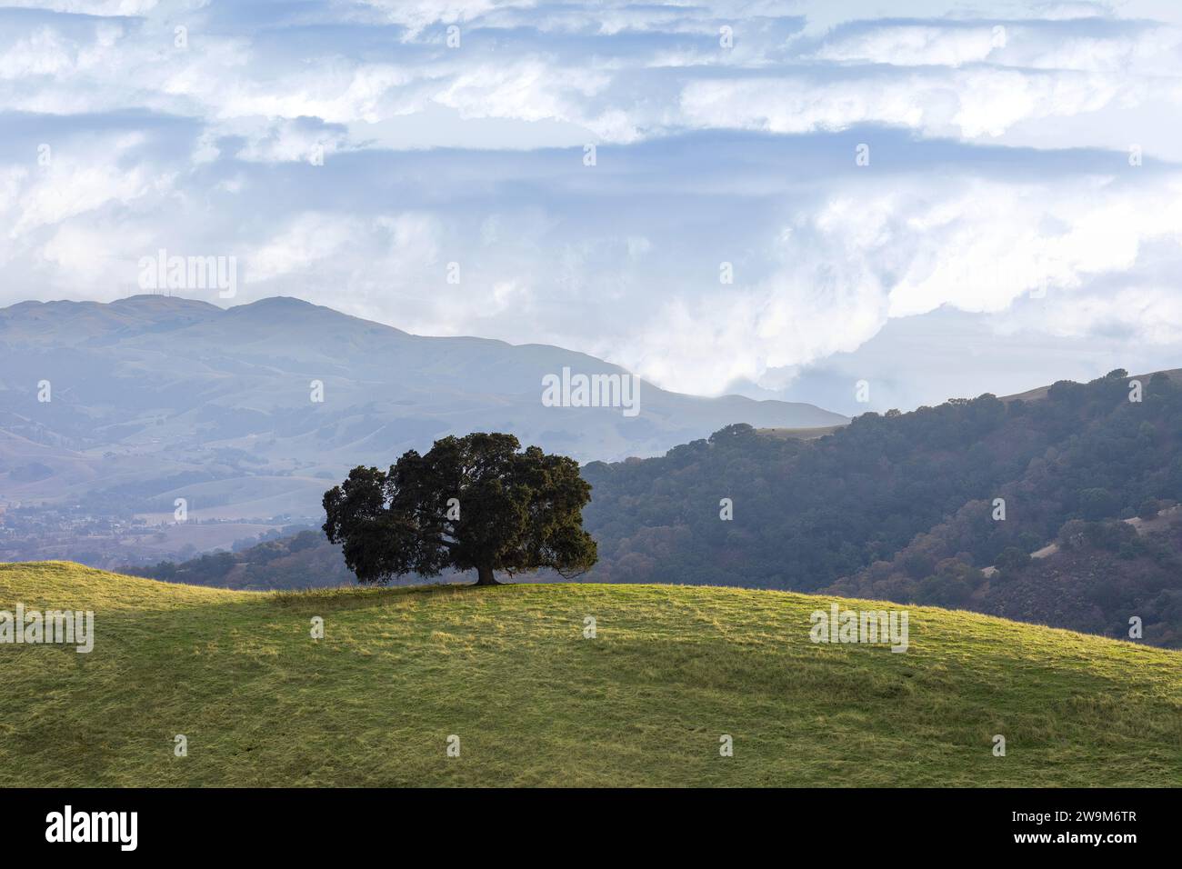 Lone Oak Tree on a Hilltop. Pleasanton Ridge Regional Park, Alameda ...