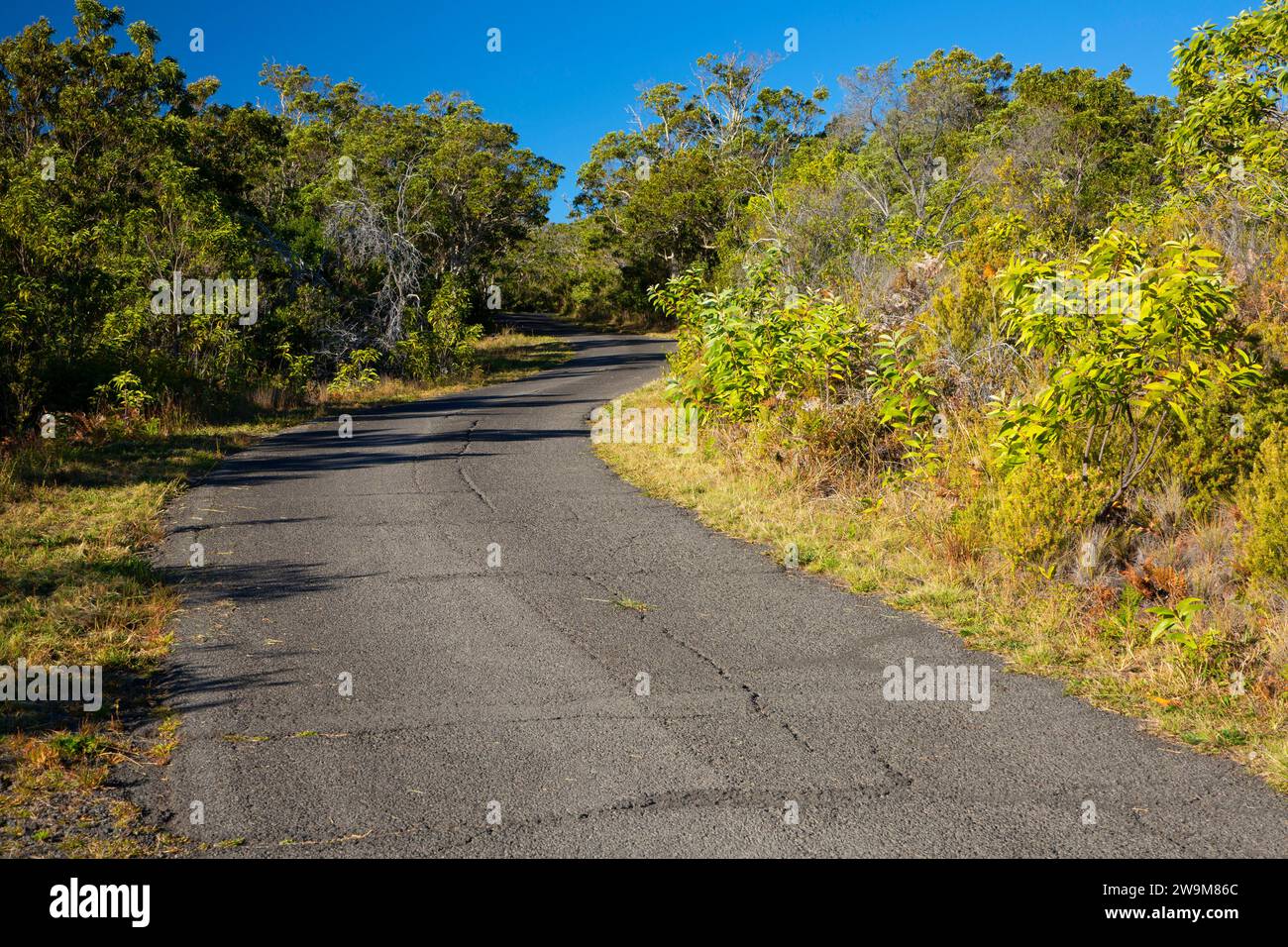 Mauna loa road hi-res stock photography and images - Alamy
