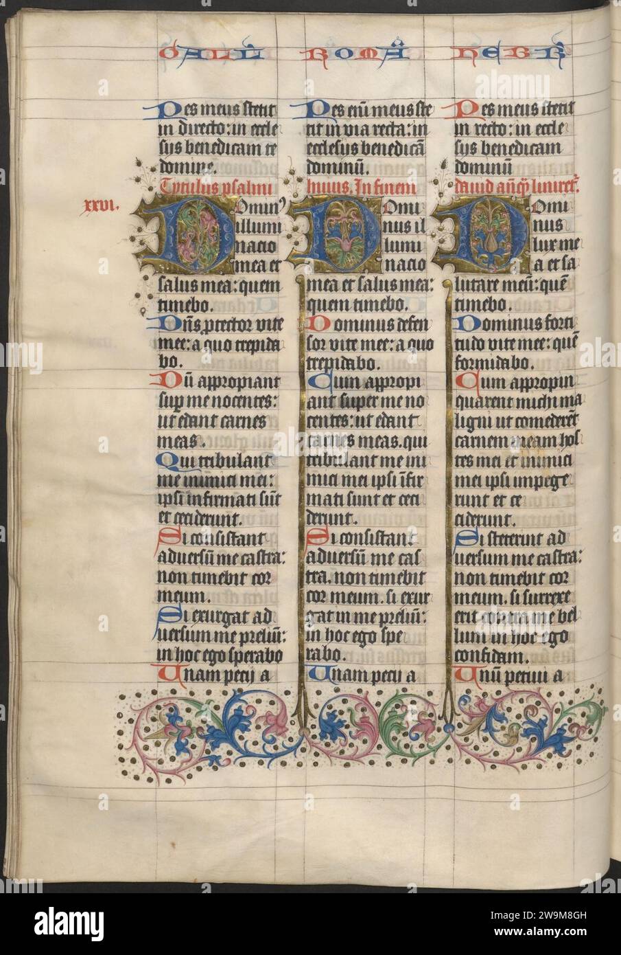 Psalterium triplex hi-res stock photography and images - Alamy