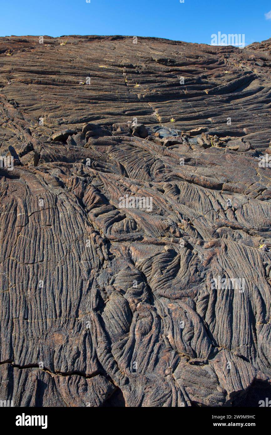 Puna Coast lava flow, Hawaii Volcanoes National Park, Hawaii Stock ...