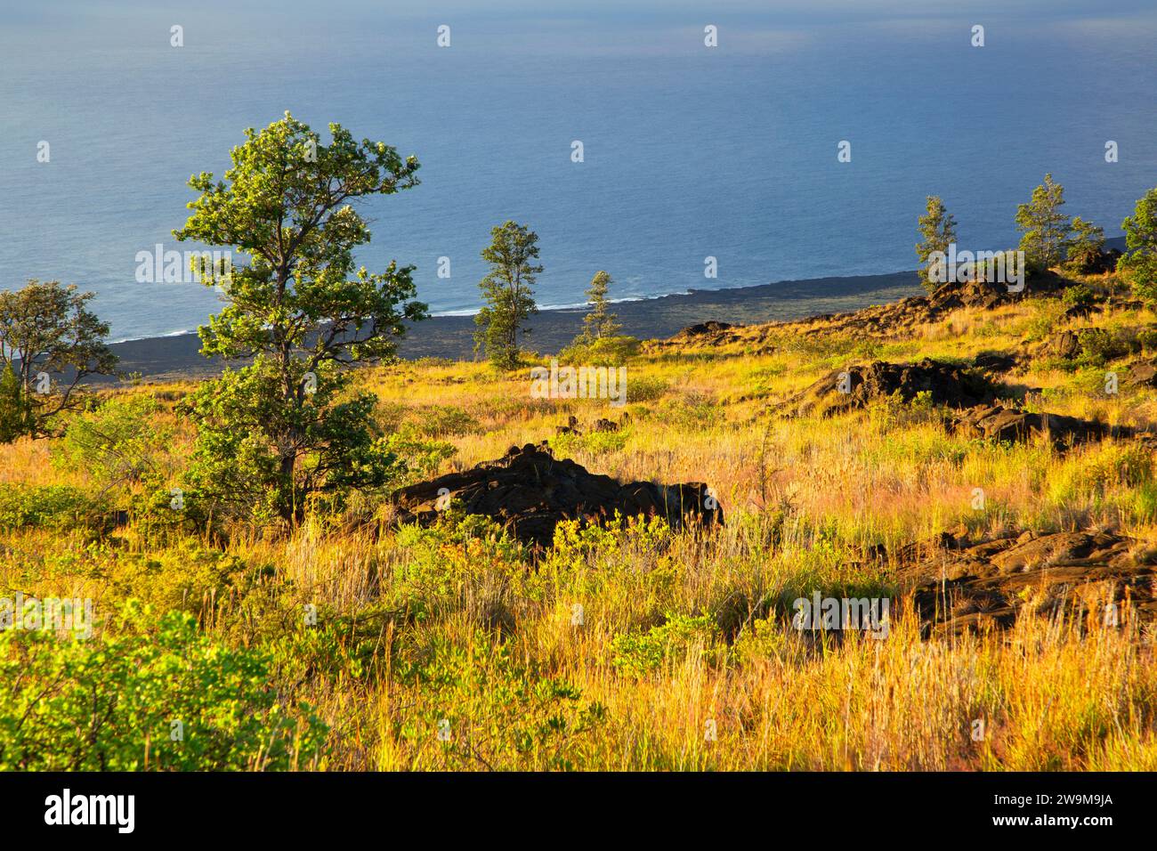 Kau desert hi-res stock photography and images - Alamy