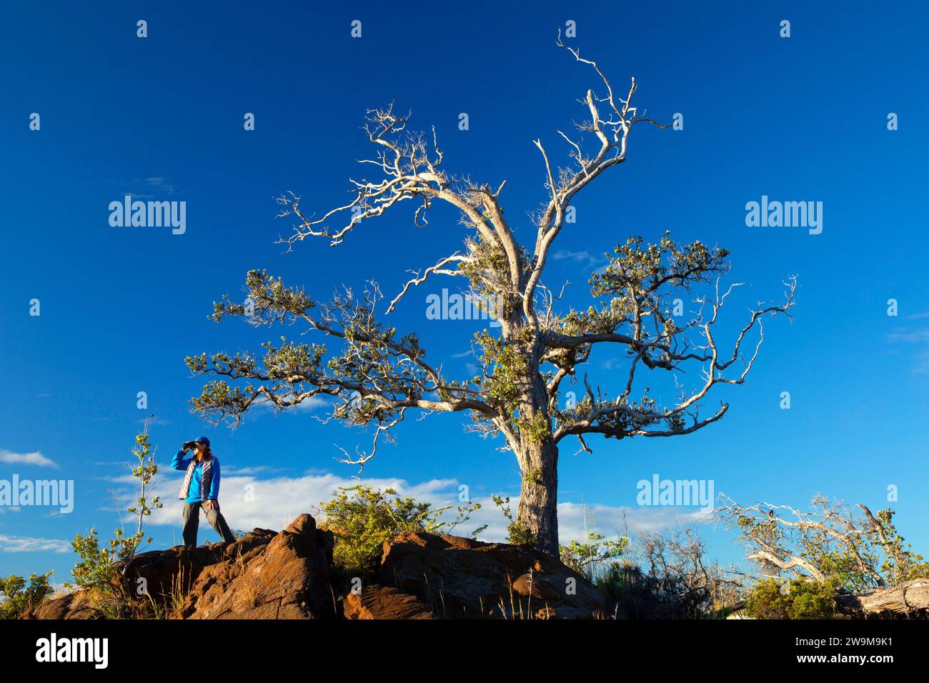Kau desert trail hi-res stock photography and images - Alamy