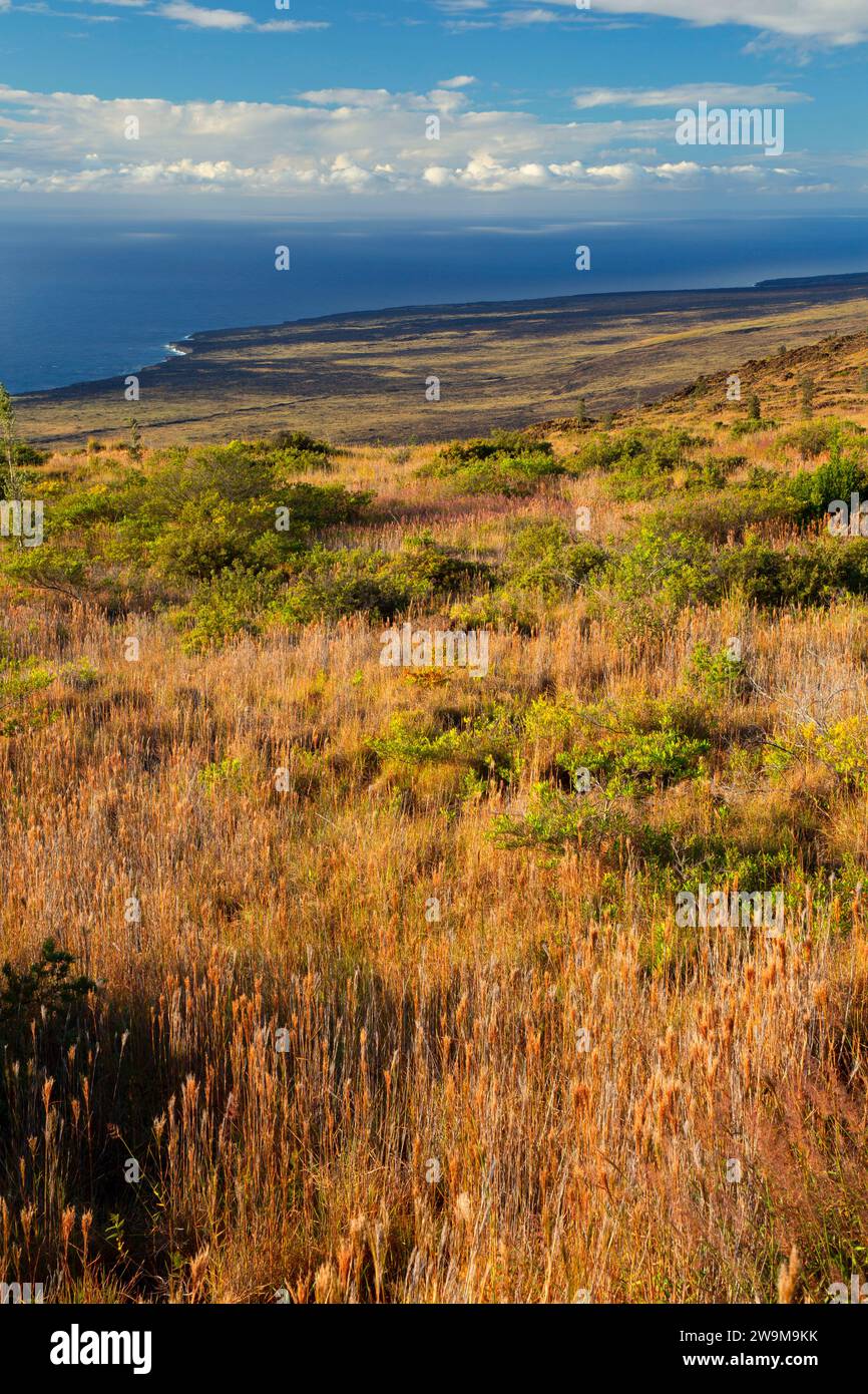 View from Hilina Pali along Kau Desert Trail, Hawaii Volcanoes National ...