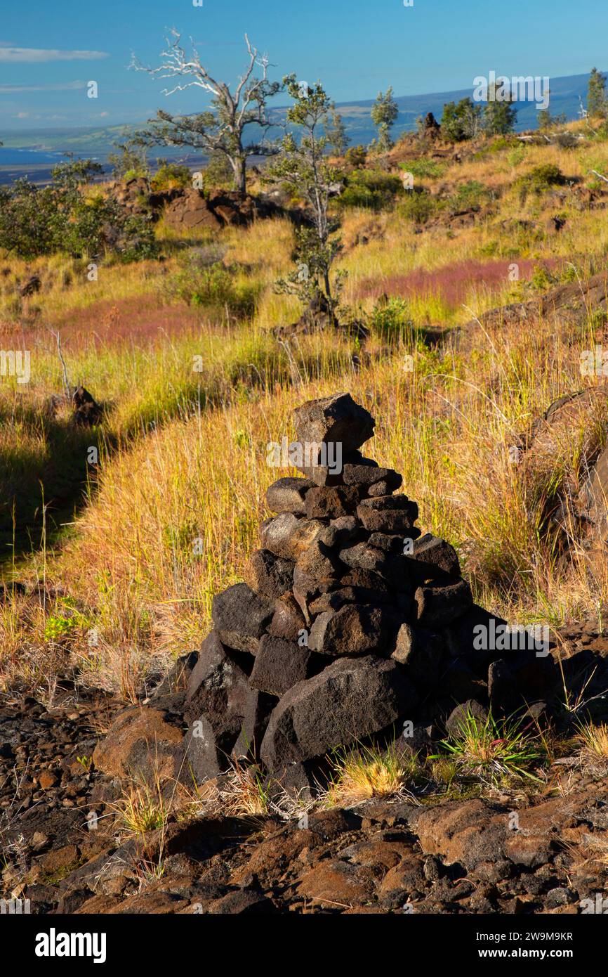 Puna grassland hi-res stock photography and images - Alamy