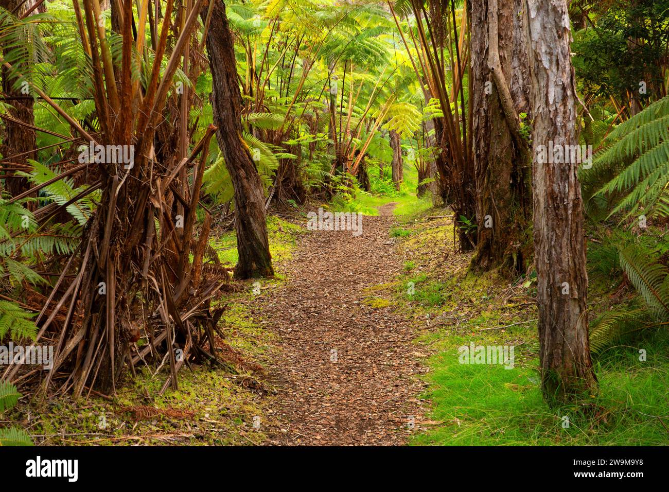 Crater Rim Trail, Hawaii Volcanoes National Park, Hawaii Stock Photo ...