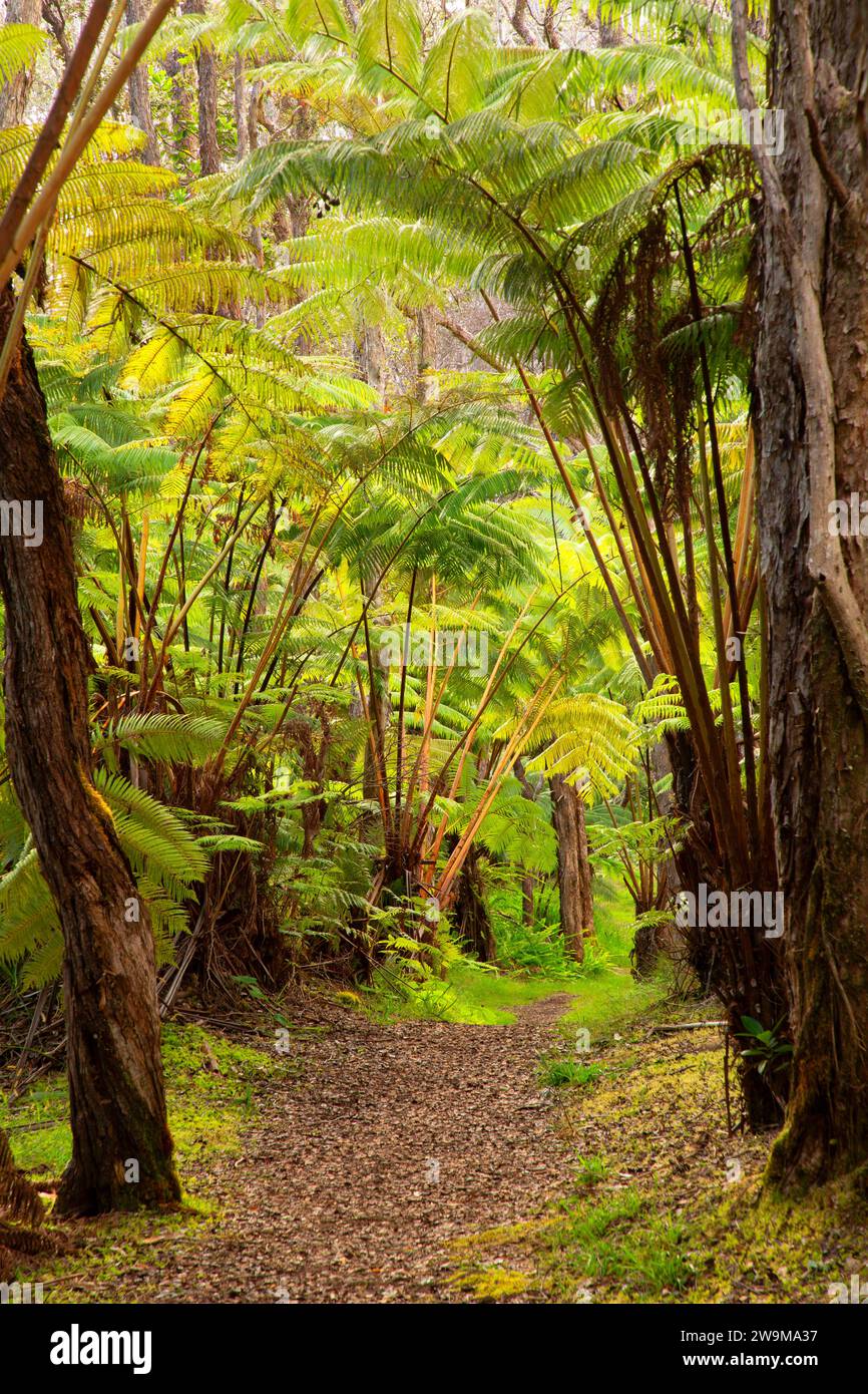 Crater rim trail hi-res stock photography and images - Alamy