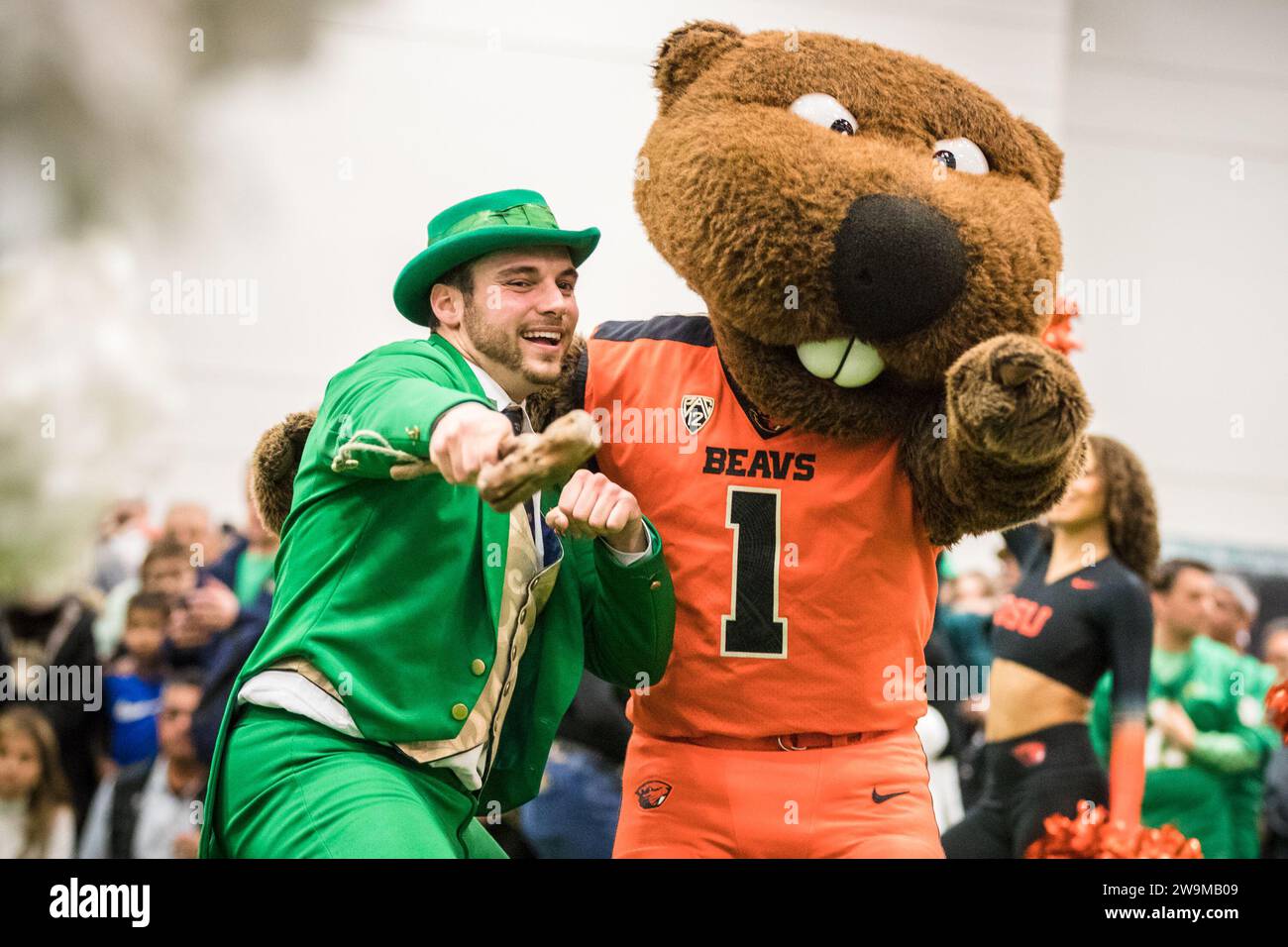 El Paso, Texas, USA. 28th Dec, 2023. Costumed mascots the Notre Dame ...