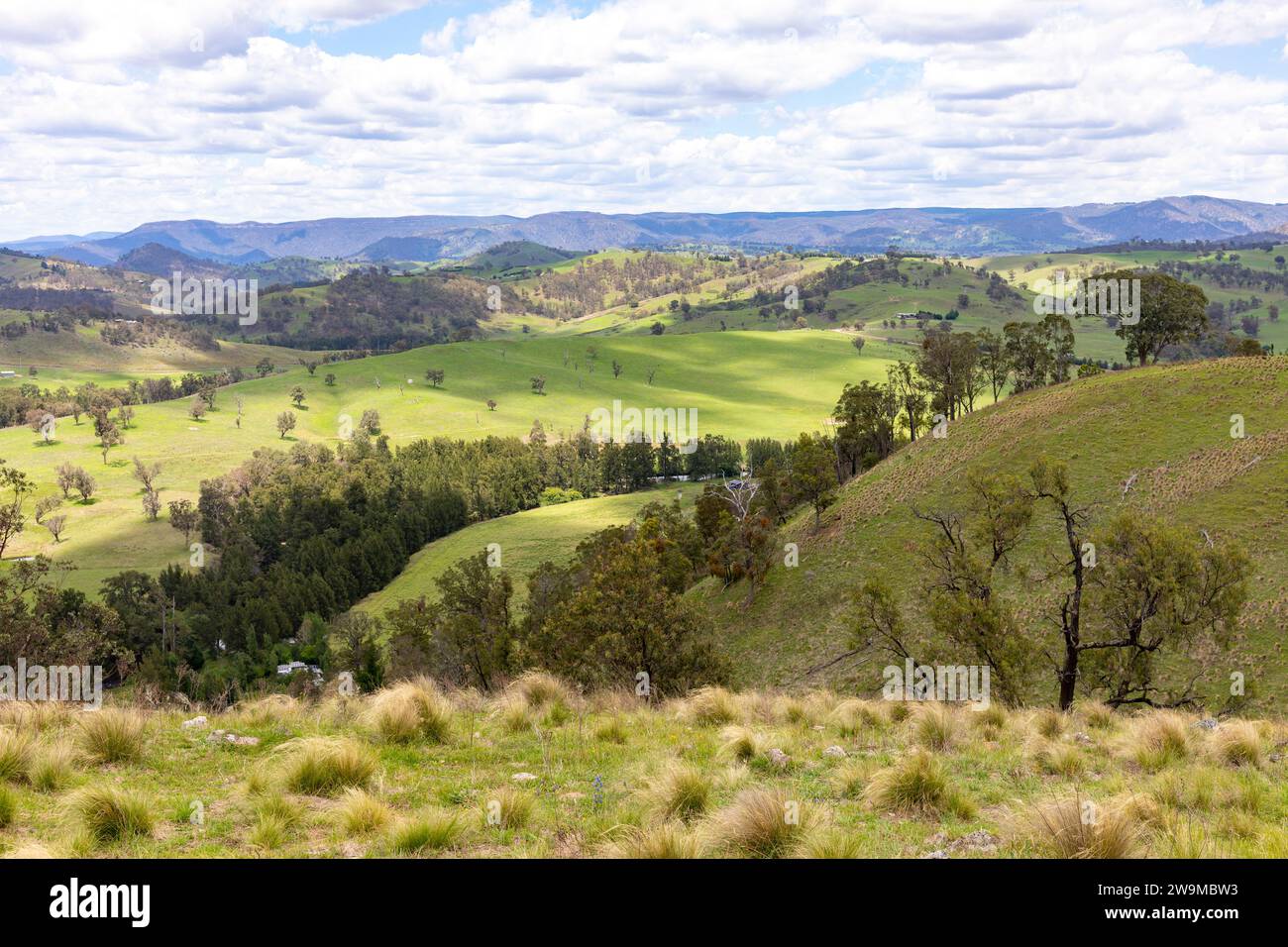 Coxs river hi-res stock photography and images - Alamy
