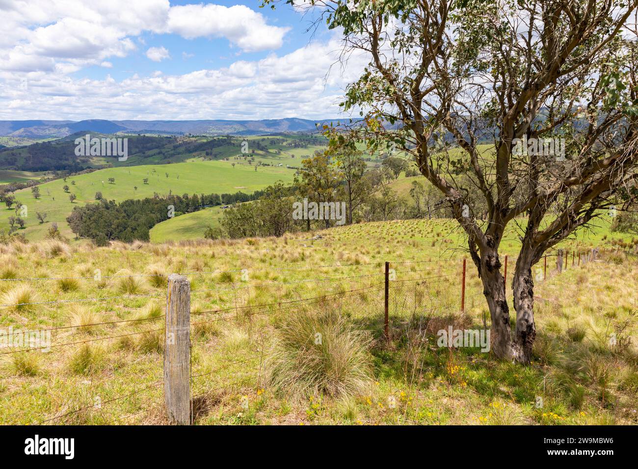 Blue mountains range of mountains and Cox's river within the tree line ...