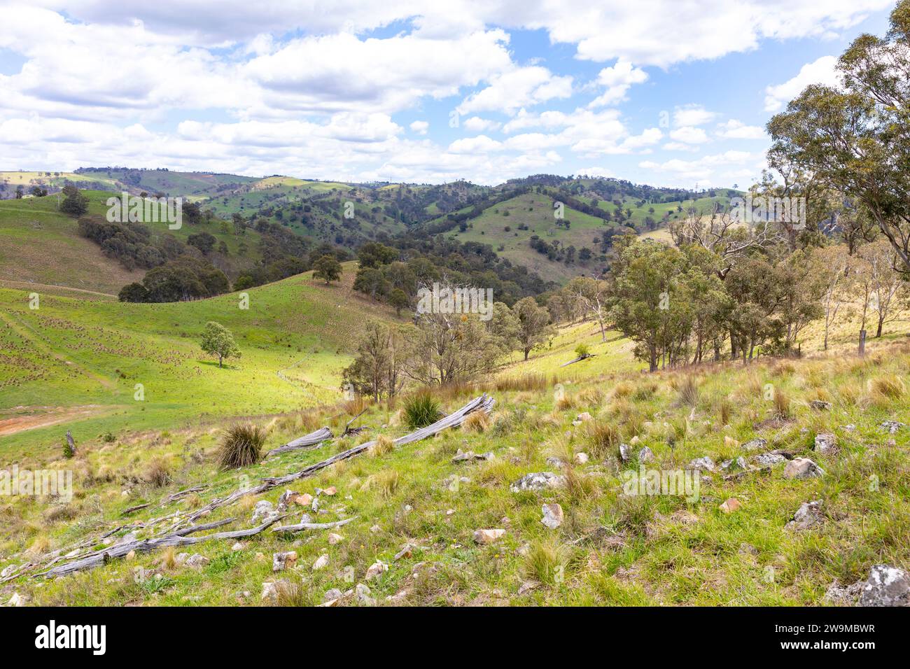 Landscape Australia, green countryside in the central west of New South ...