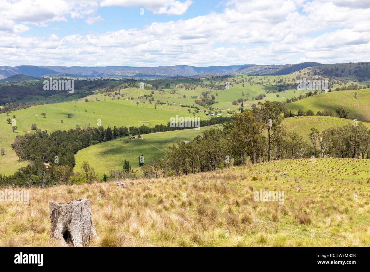 Blue mountains range of mountains and Cox's river within the tree line ...