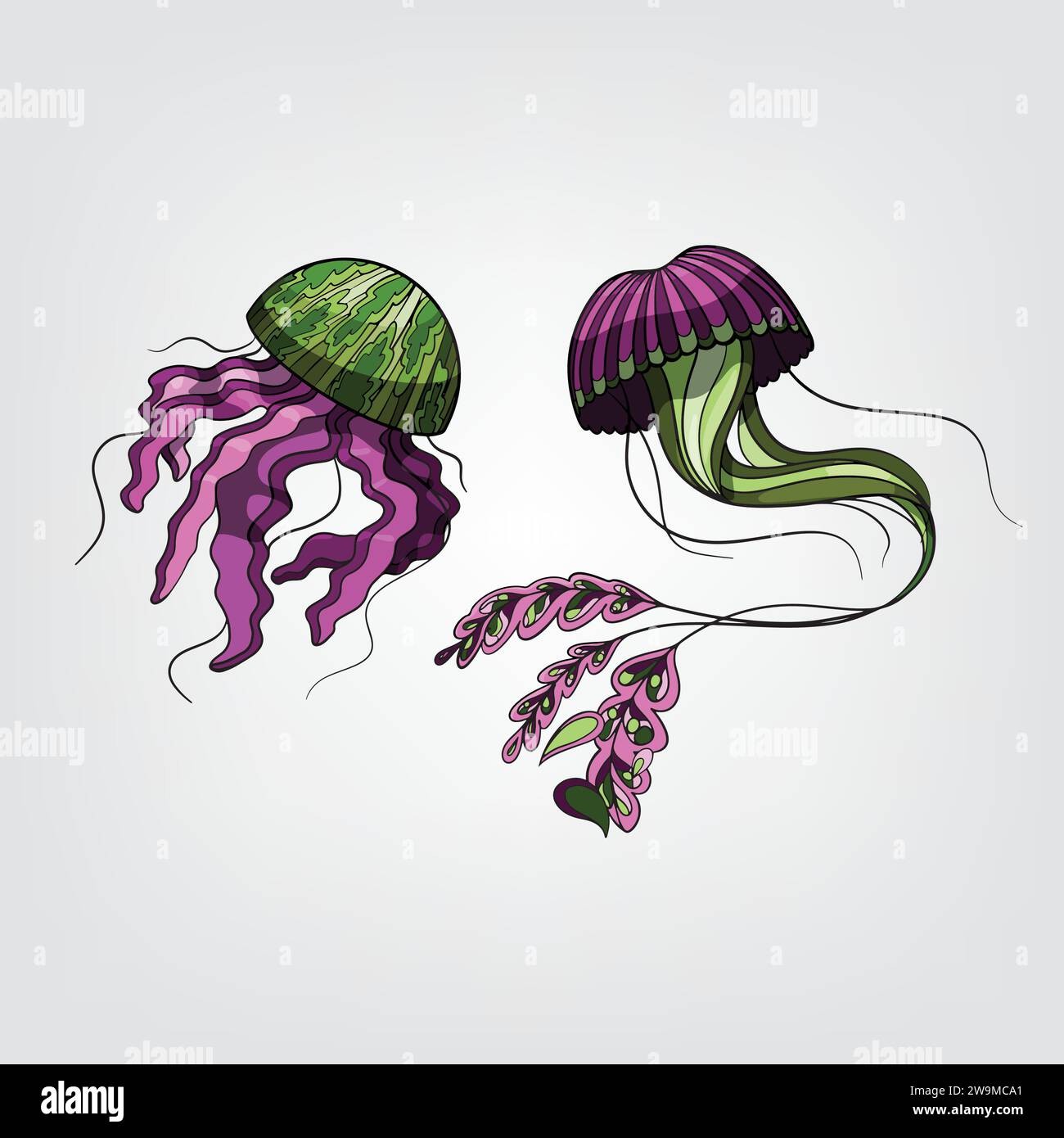Vector illustration of isolated cartoon jellyfish Stock Vector Image ...