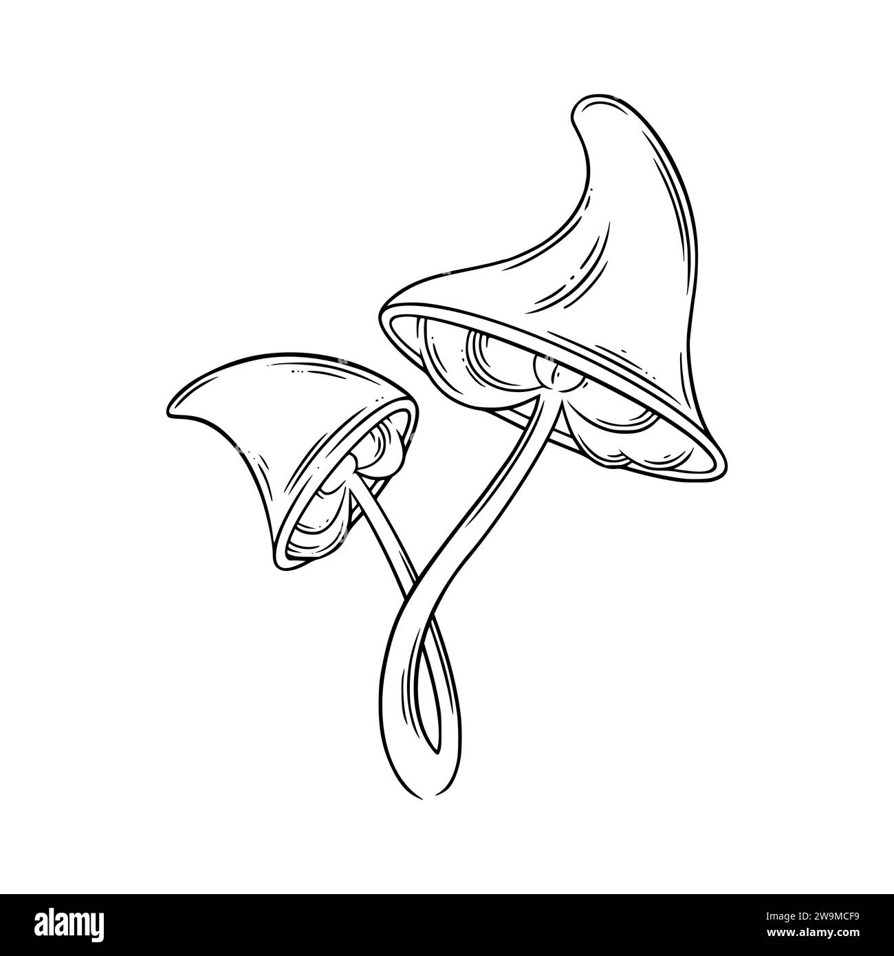 Poison mushrooms. Psychedelic mushrooms for wicca rituals. Vector ...