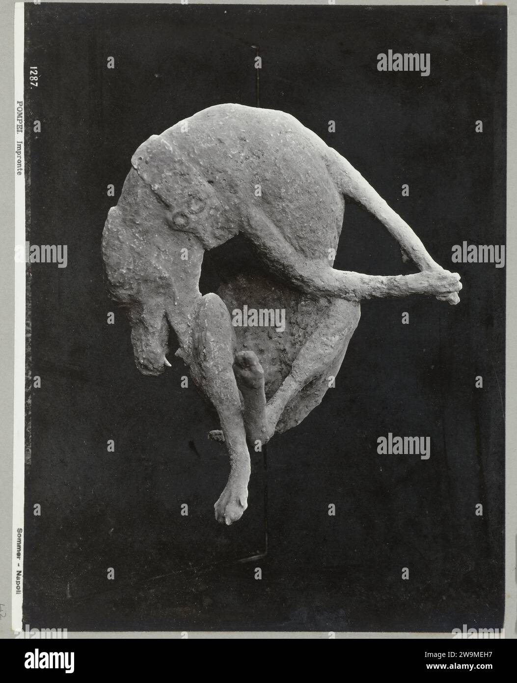 Found in pompeii hi-res stock photography and images - Alamy