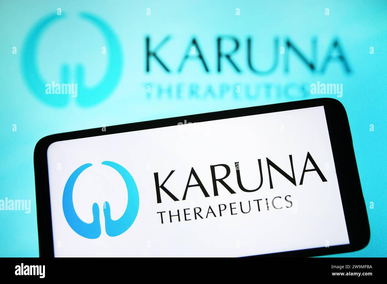 Ukraine. 29th Dec, 2023. In this photo illustration, Karuna ...