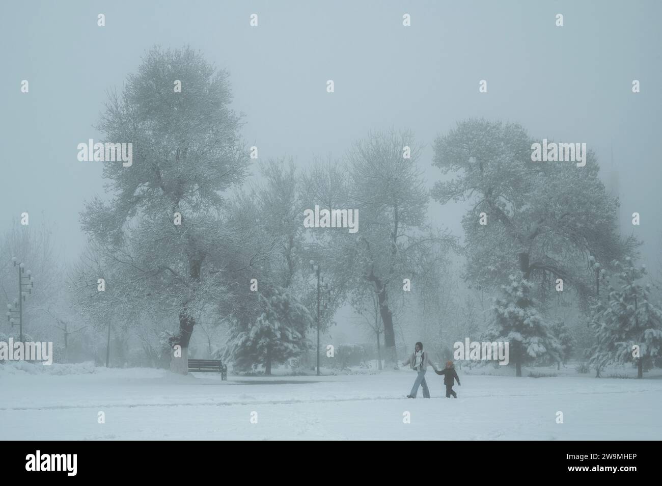 woman mother and a child son walk through the Independence Park in ...
