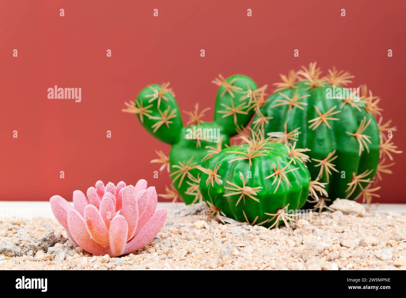 artificial succulent plant and cactus at horizontal composition Stock ...