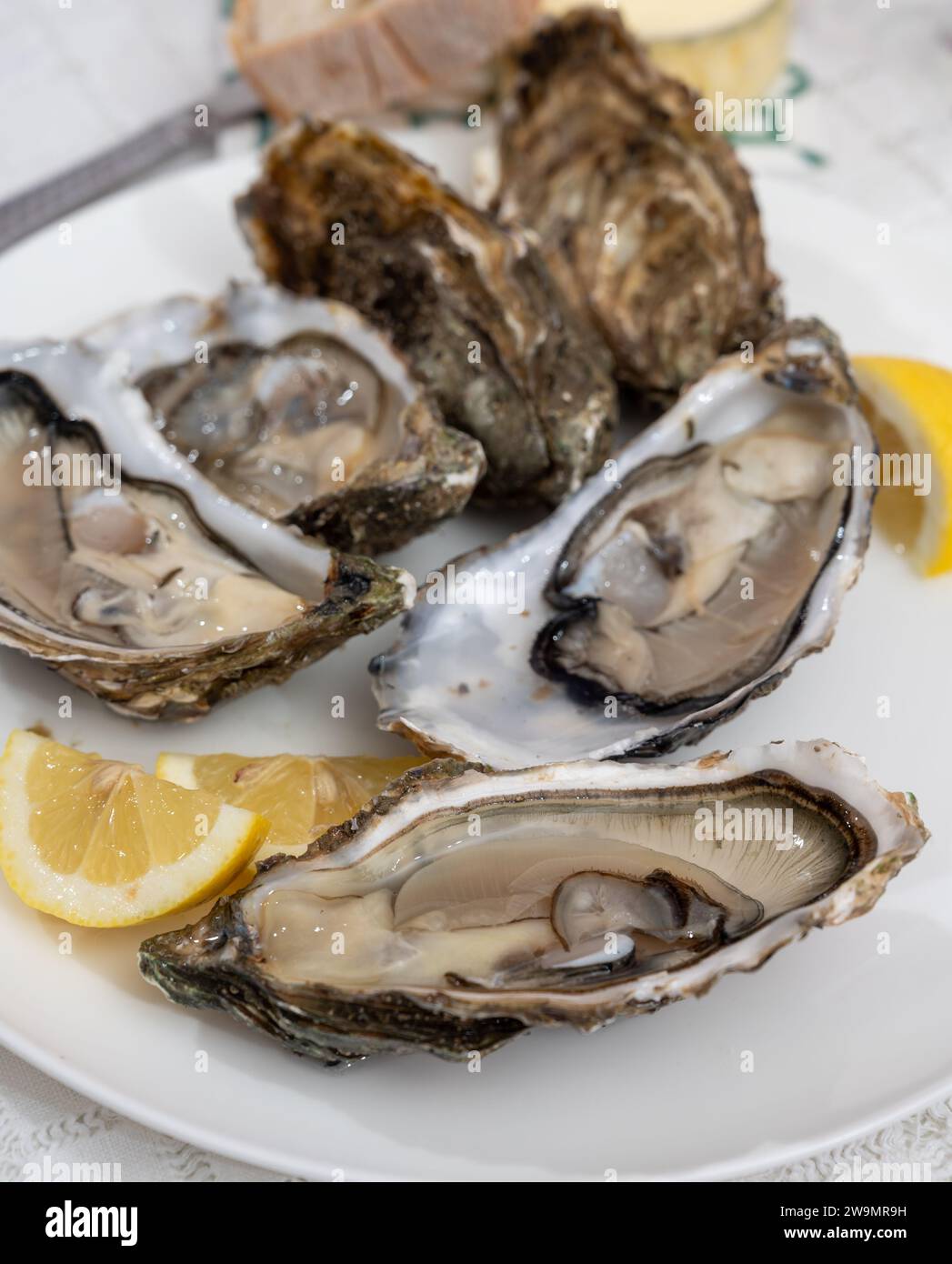 Oyster nursery hi-res stock photography and images - Alamy