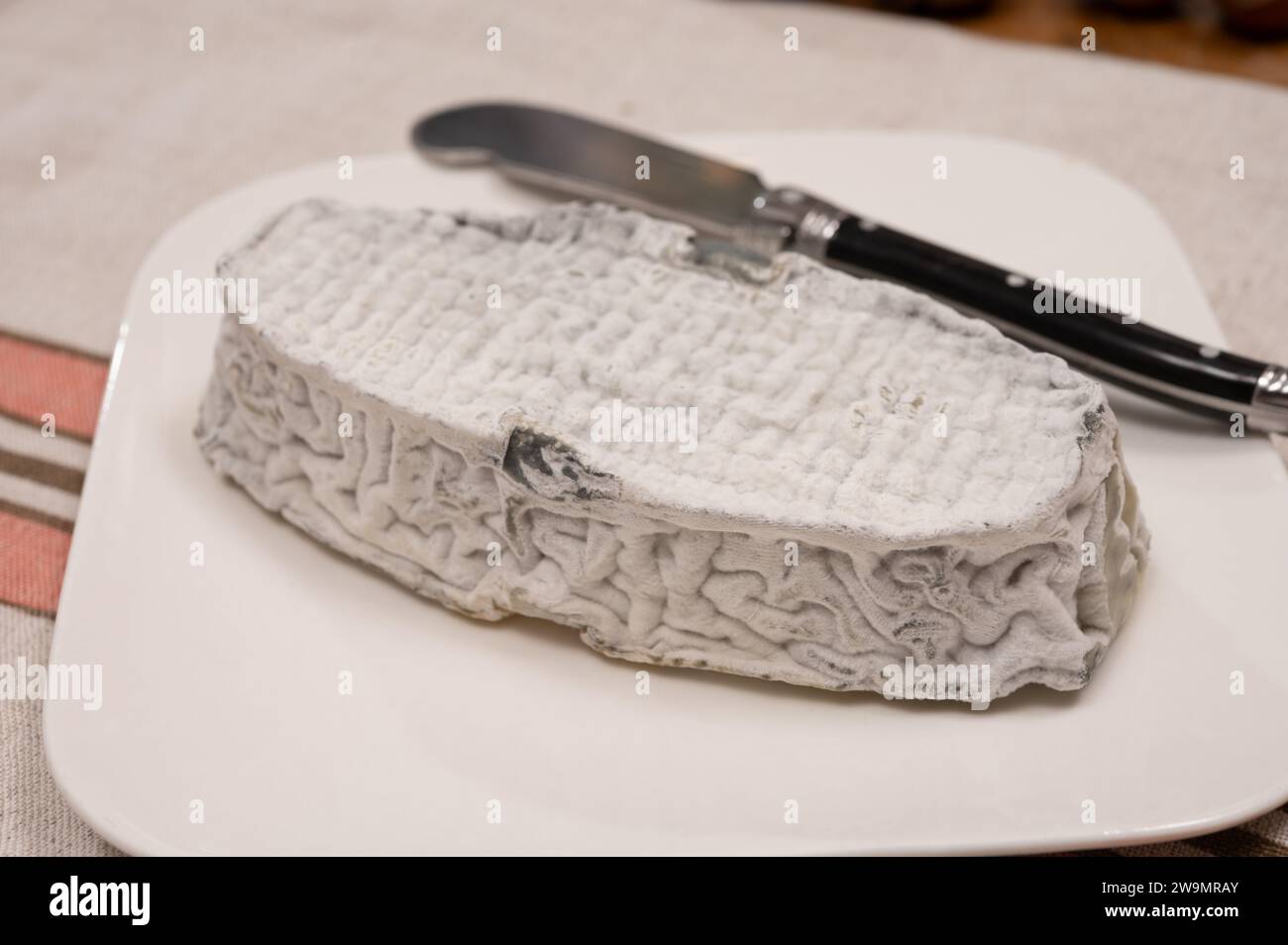 Cheese collection, French fresh soft goat cheese with black mold from ...