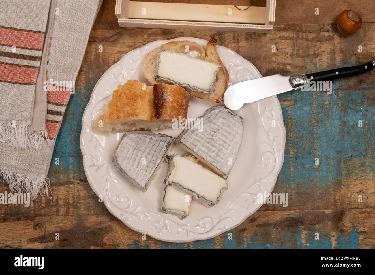 Cheese collection, French fresh soft goat cheese with black mold from ...