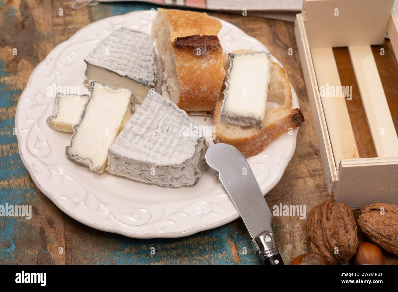 Cheese collection, French fresh soft goat cheese with black mold from ...