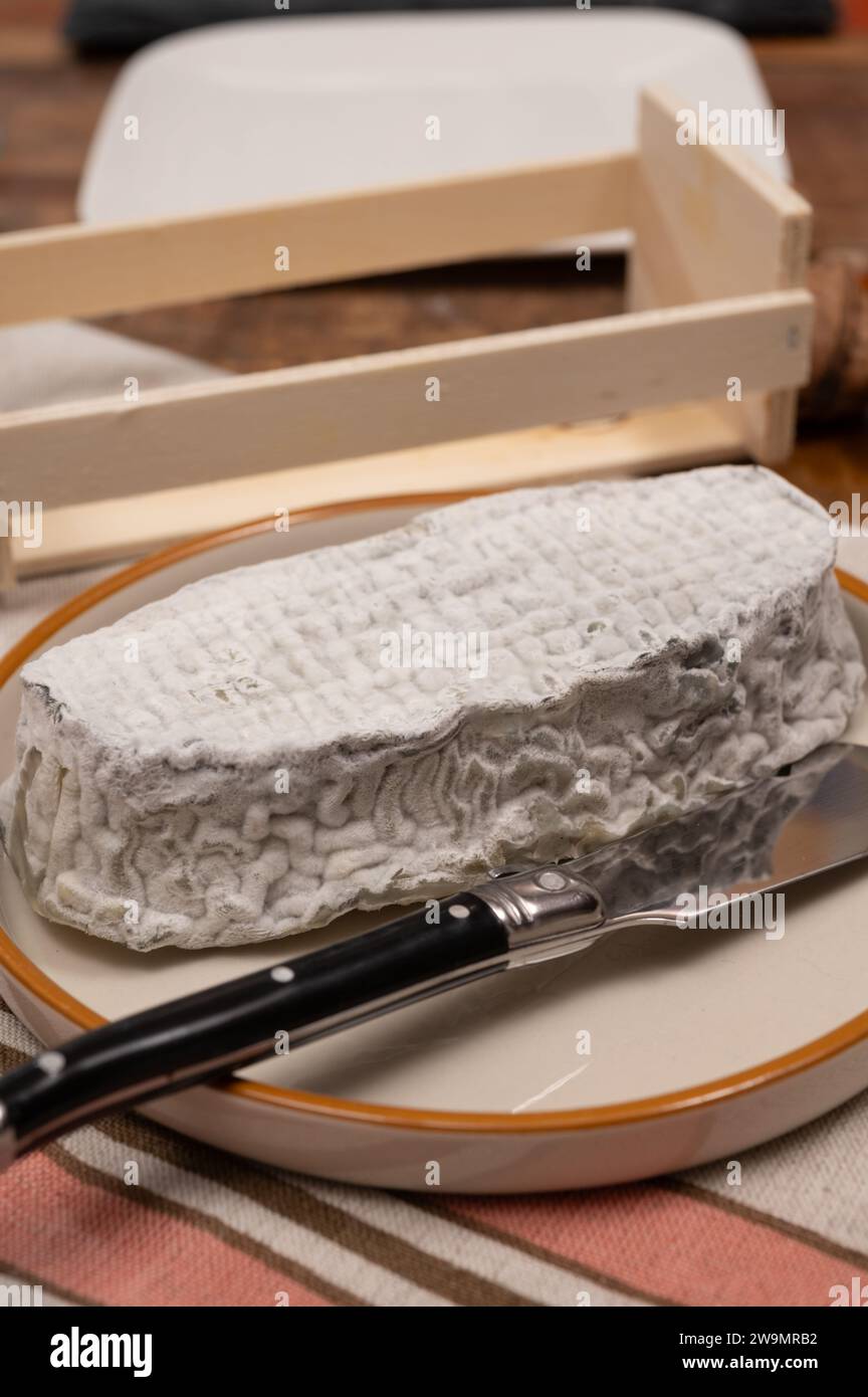 Cheese collection, French fresh soft goat cheese with black mold from ...
