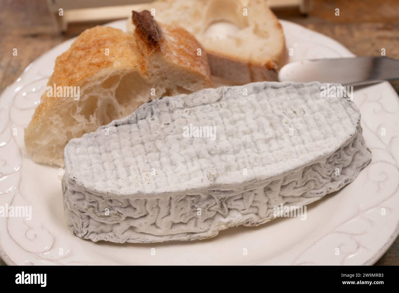 Cheese collection, French fresh soft goat cheese with black mold from ...