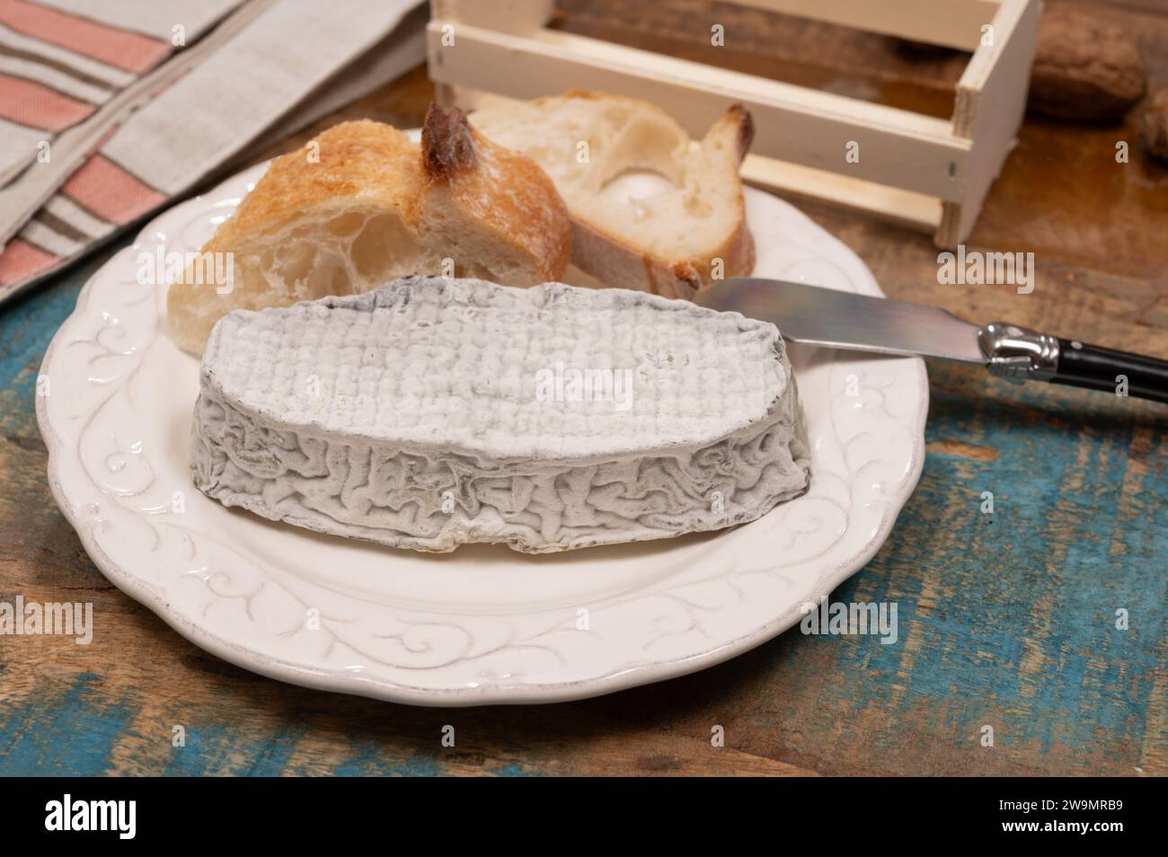 Cheese collection, French fresh soft goat cheese with black mold from ...