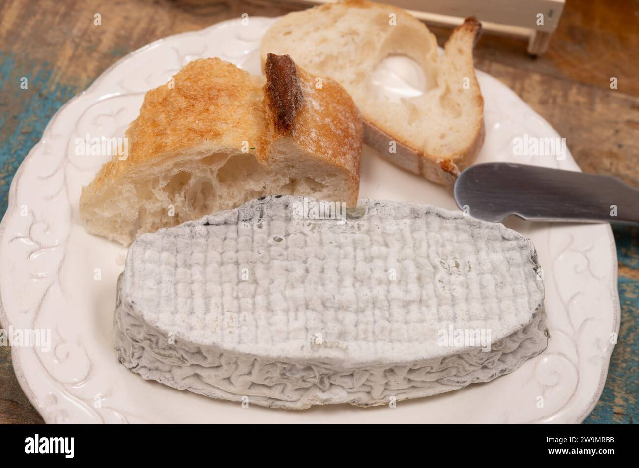 Cheese collection, French fresh soft goat cheese with black mold from ...